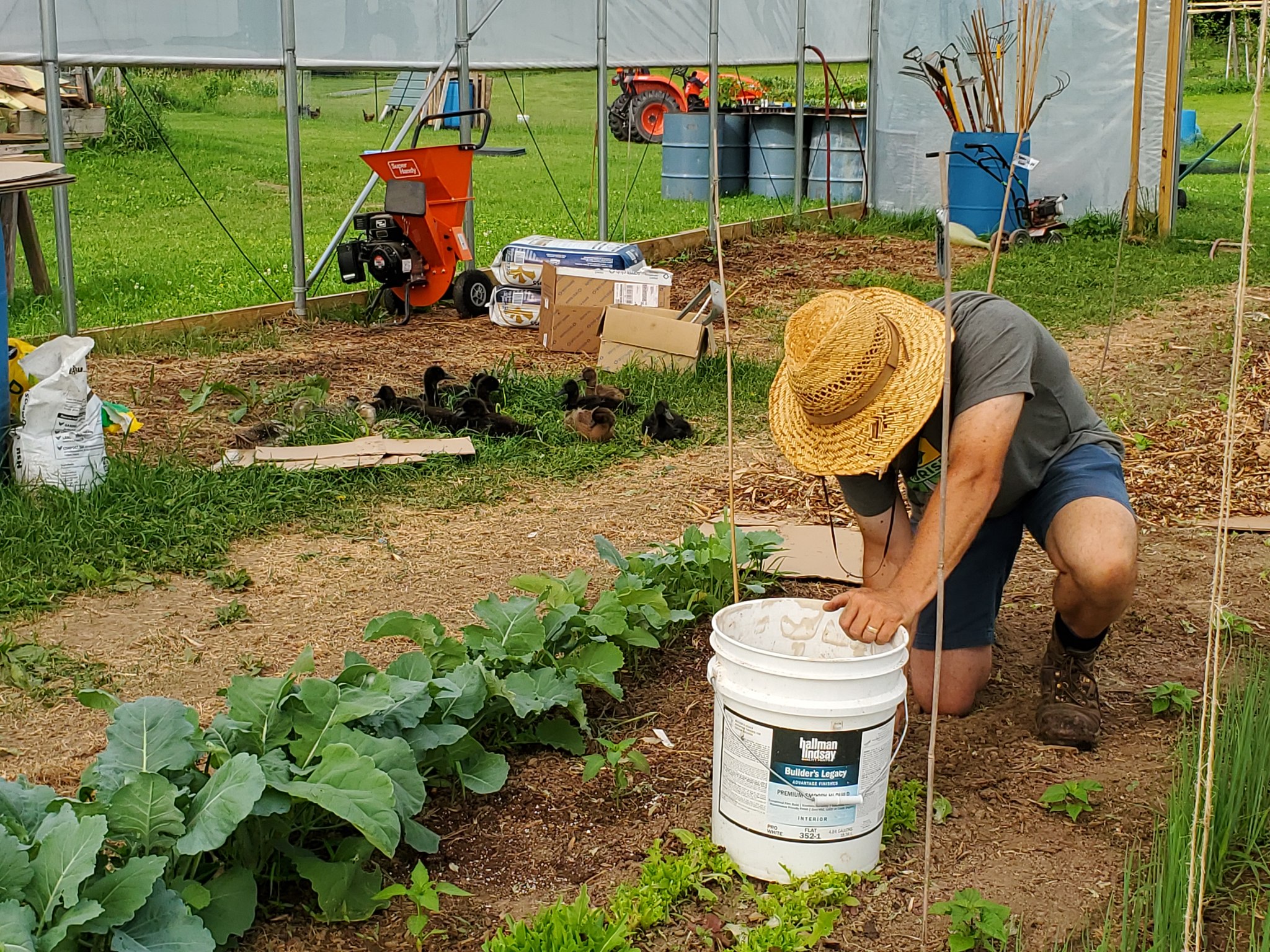 Home - Dynamite Harvest